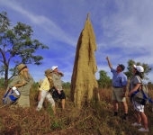 Cape York Wilderness Tour | Outback Spirit Tours