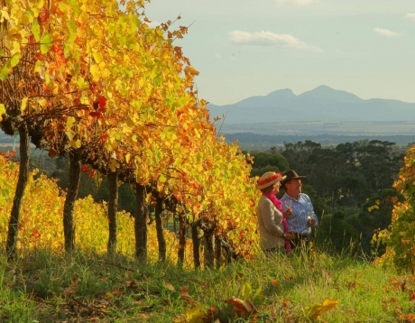 Pilbara & West Coast Tour | Outback Spirit Tours